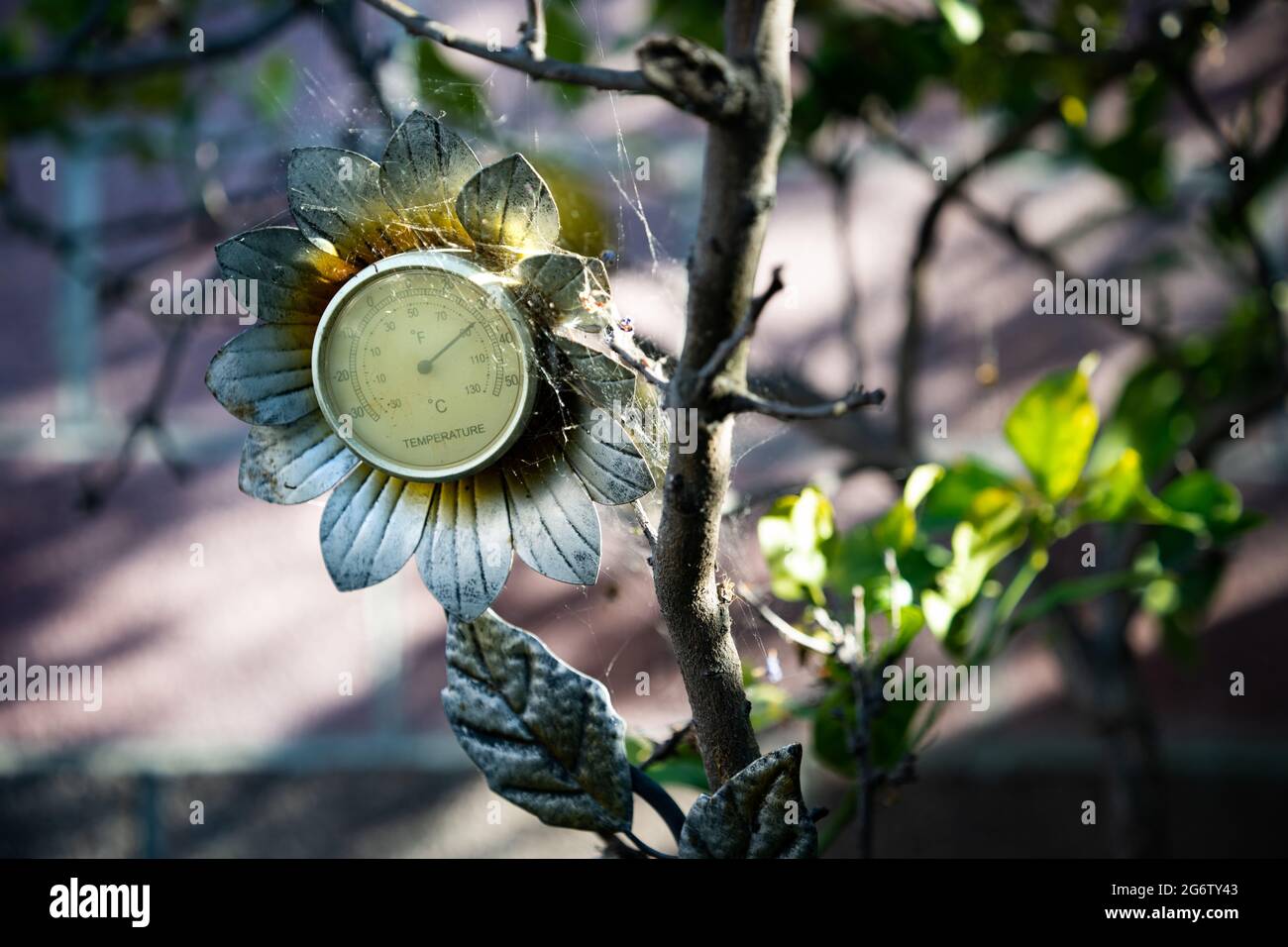 Plant thermometer hi-res stock photography and images - Alamy