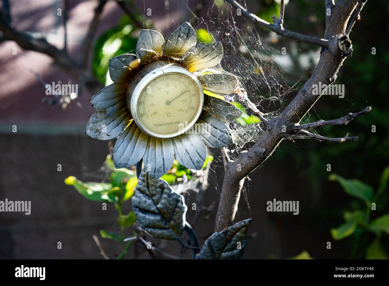Plant thermometer hi-res stock photography and images - Alamy