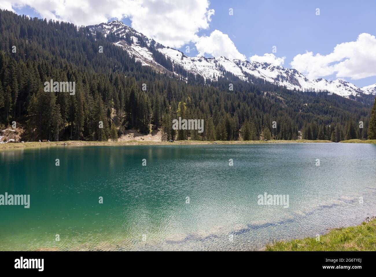 Tranquil scenery of a lake with forested mountains in the background ...