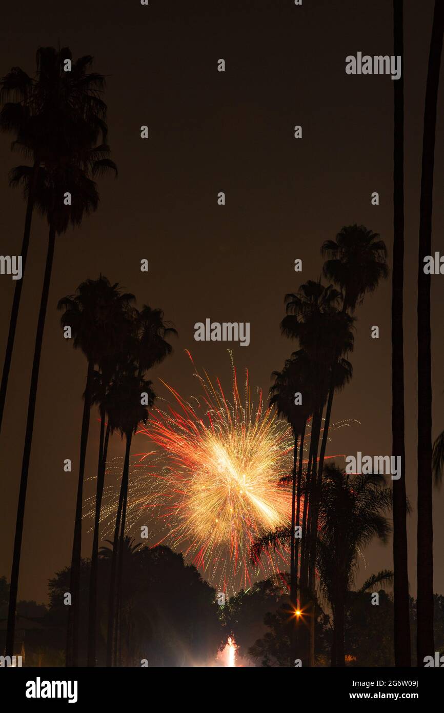 Palm firework hi-res stock photography and images - Alamy