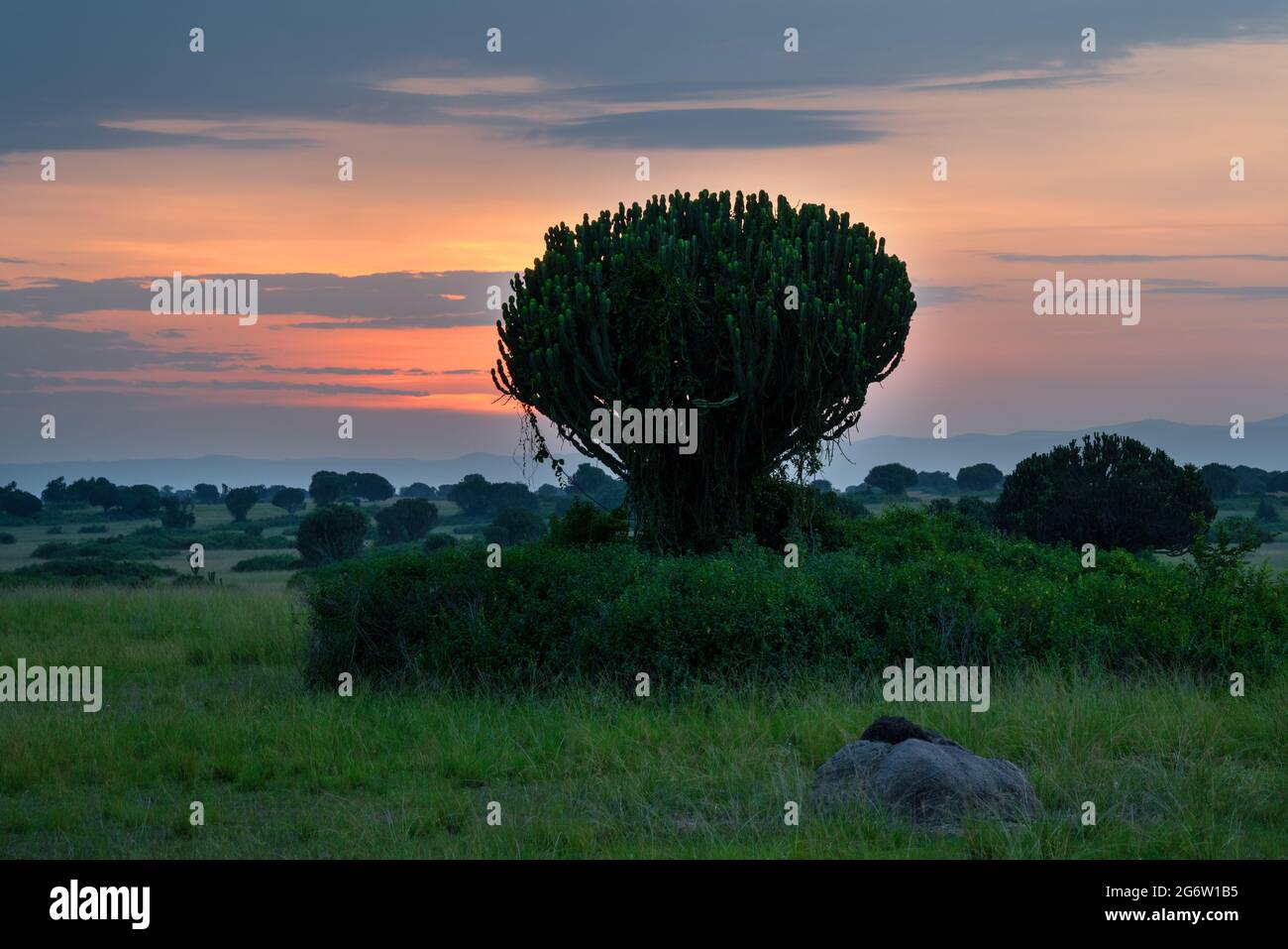 Panoramic image of the landscape of Queen Elizabeth National Park at ...