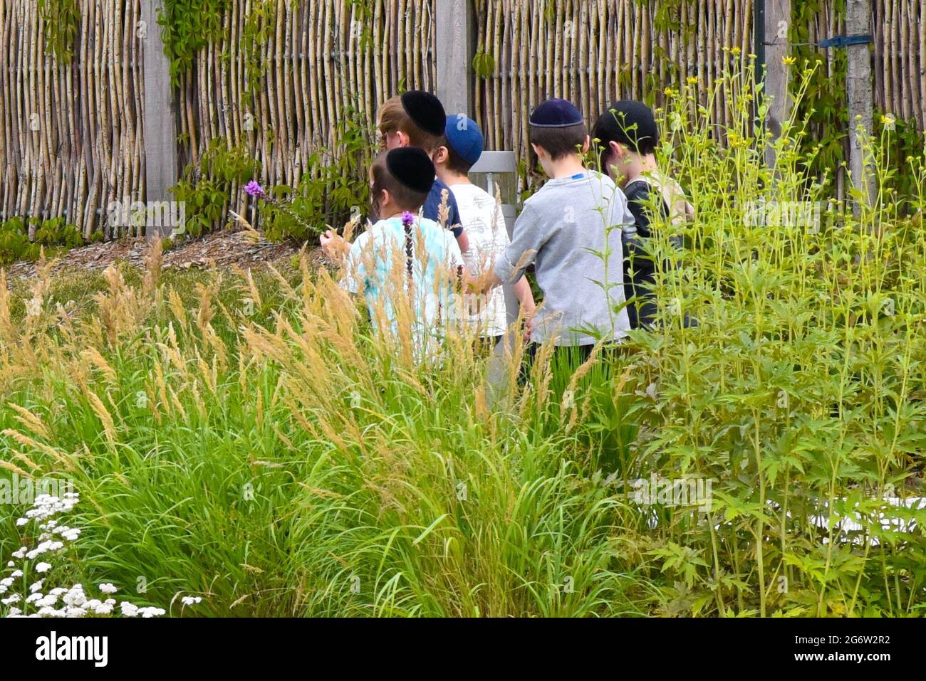 Hasidic children hi-res stock photography and images - Alamy