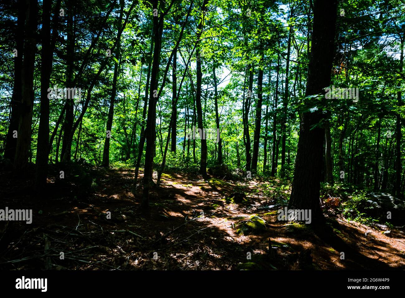 Beautiful scenery in hinterland hi-res stock photography and images - Alamy