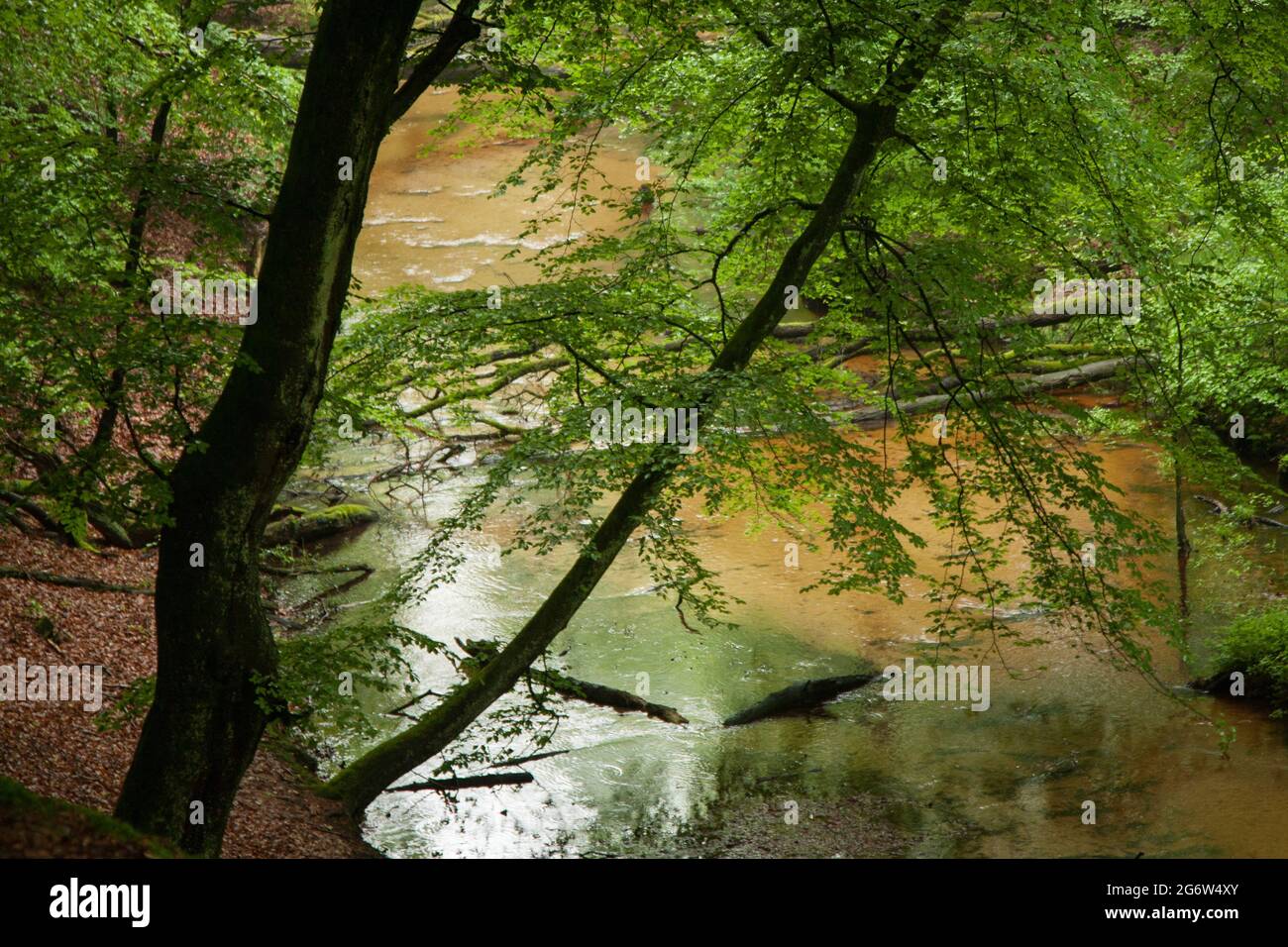 Overgrown valley hi-res stock photography and images - Alamy