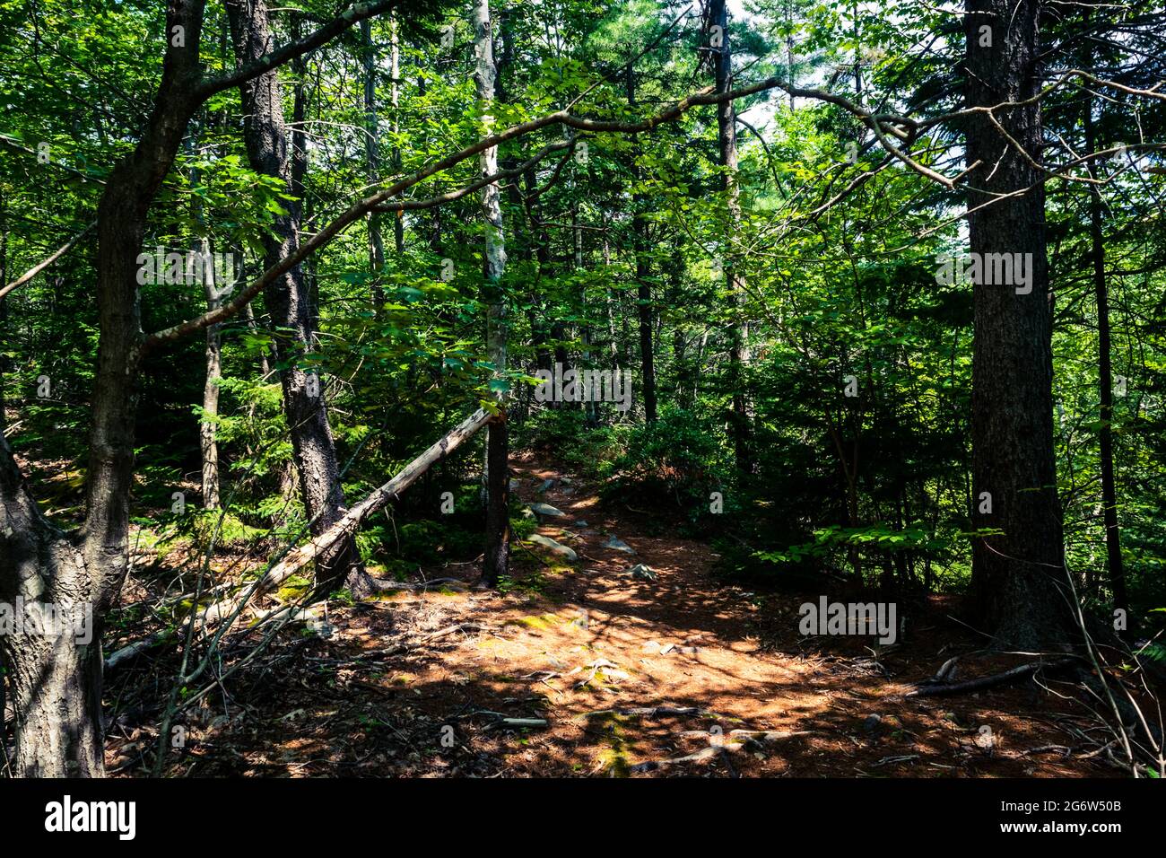 Beautiful scenery in hinterland hi-res stock photography and images - Alamy