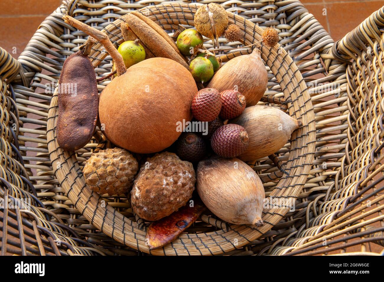 Exotic fruits from the brazilian cerrado at Jalapão, Tocantins estate ...