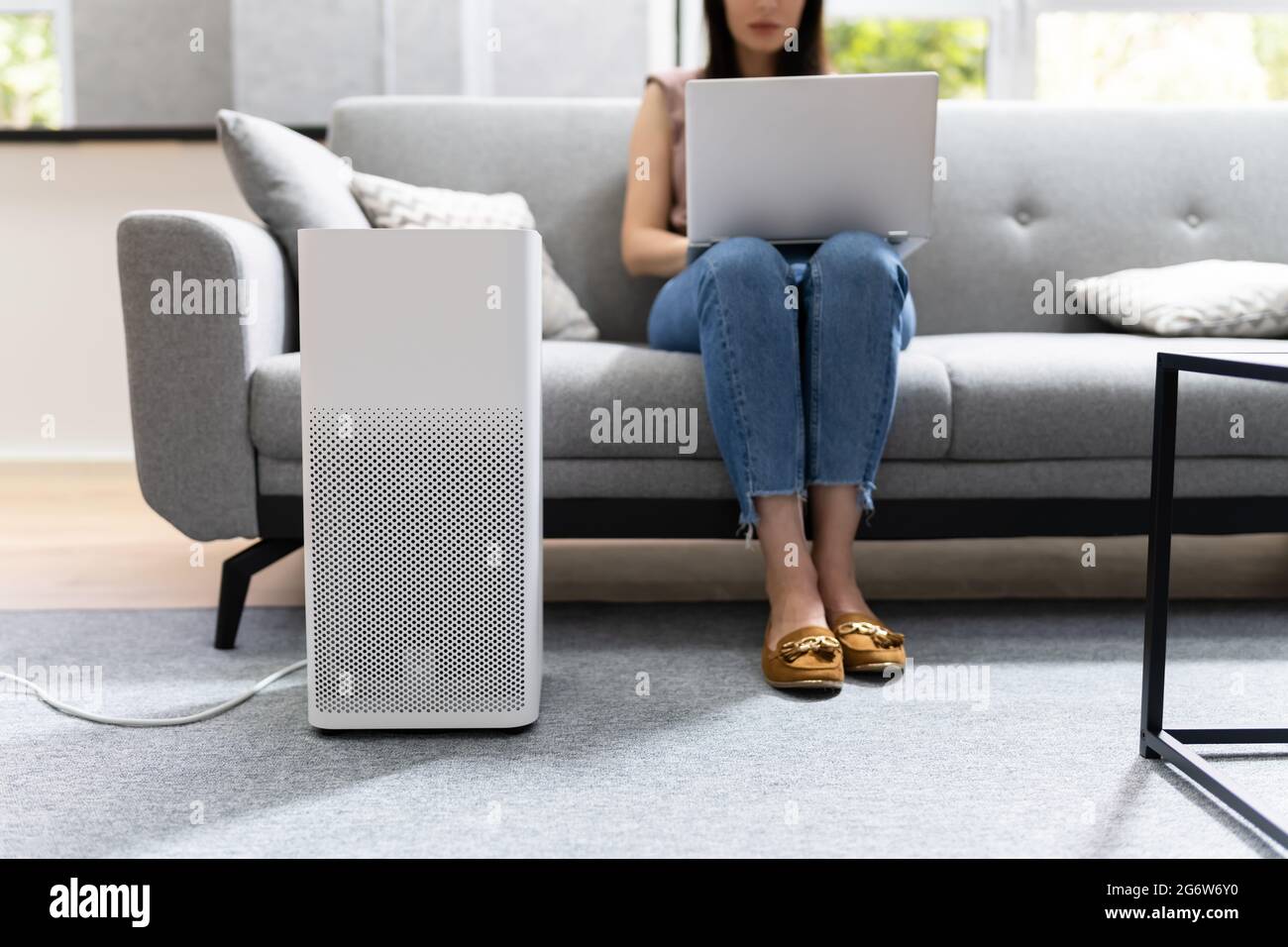 Woman In Living Room Using Air Cleaner And Humidifier Stock Photo - Alamy