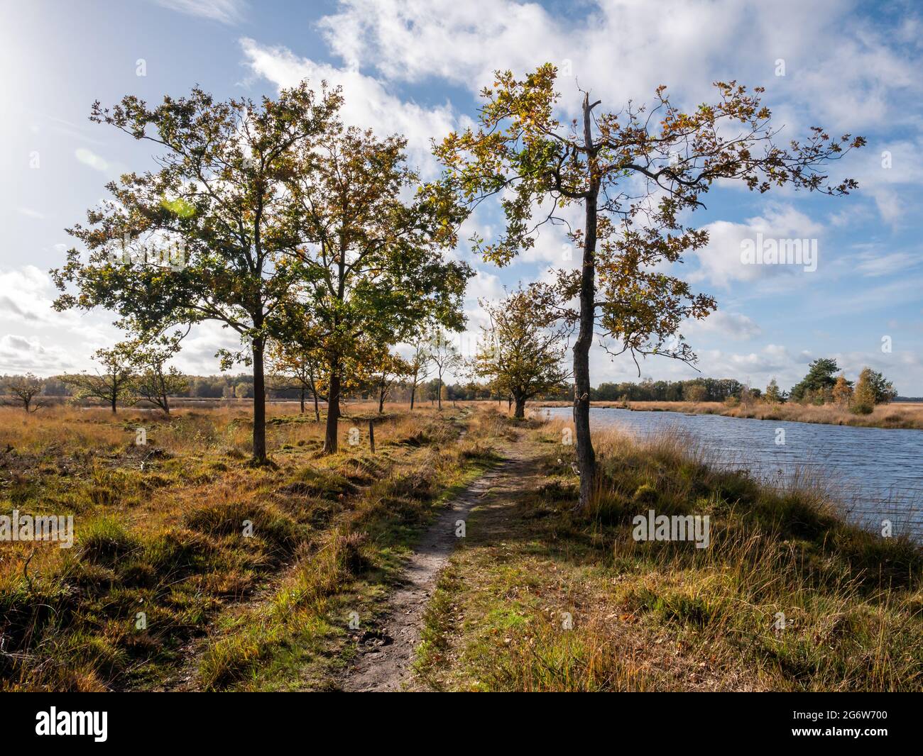 Dwingelderveld national park hi-res stock photography and images - Alamy