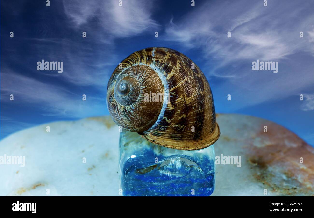 Snail shell over sky with clouds Stock Photo - Alamy