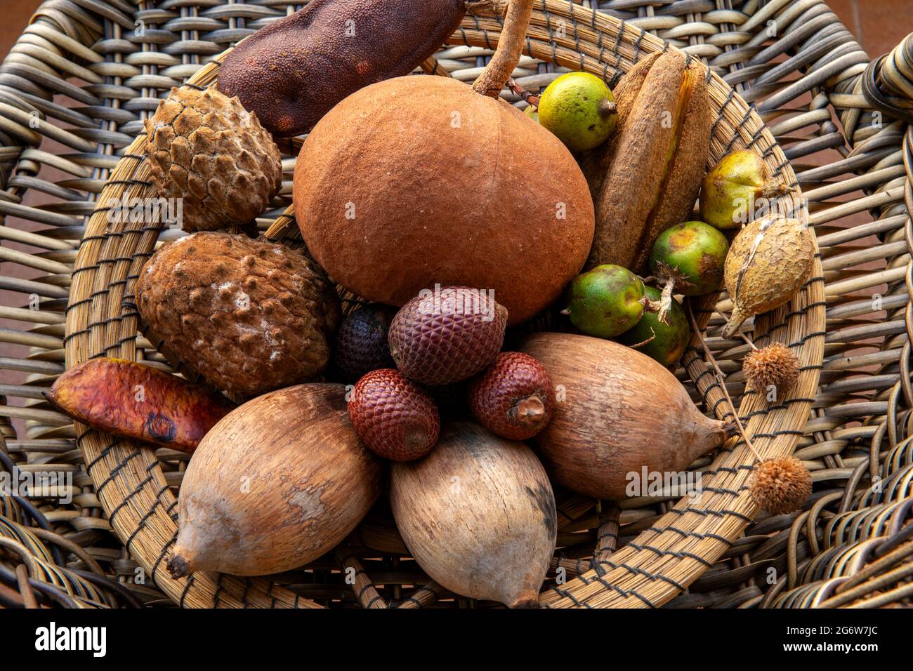 Exotic fruits from the brazilian cerrado at Jalapão, Tocantins estate ...