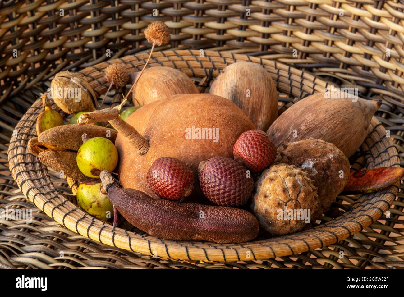 Exotic fruits from the brazilian cerrado at Jalapão, Tocantins estate ...