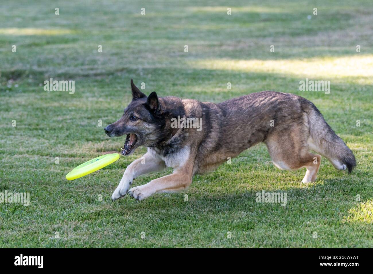 Catching disk hi-res stock photography and images - Alamy
