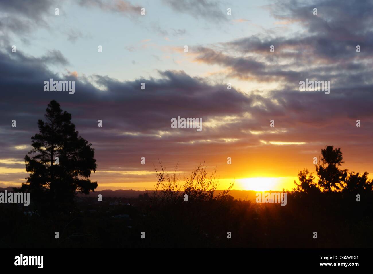 Sunsets on horizon over land with back-lit trees creating scenic ...