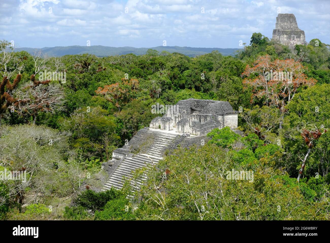 Guatemala Tikal National Park - Aerial view from Temple IV Pyramid ...