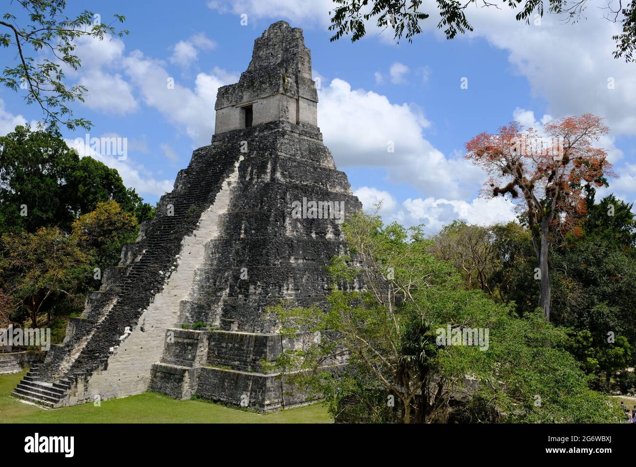 Tikal great jaguar tikal hi-res stock photography and images - Alamy