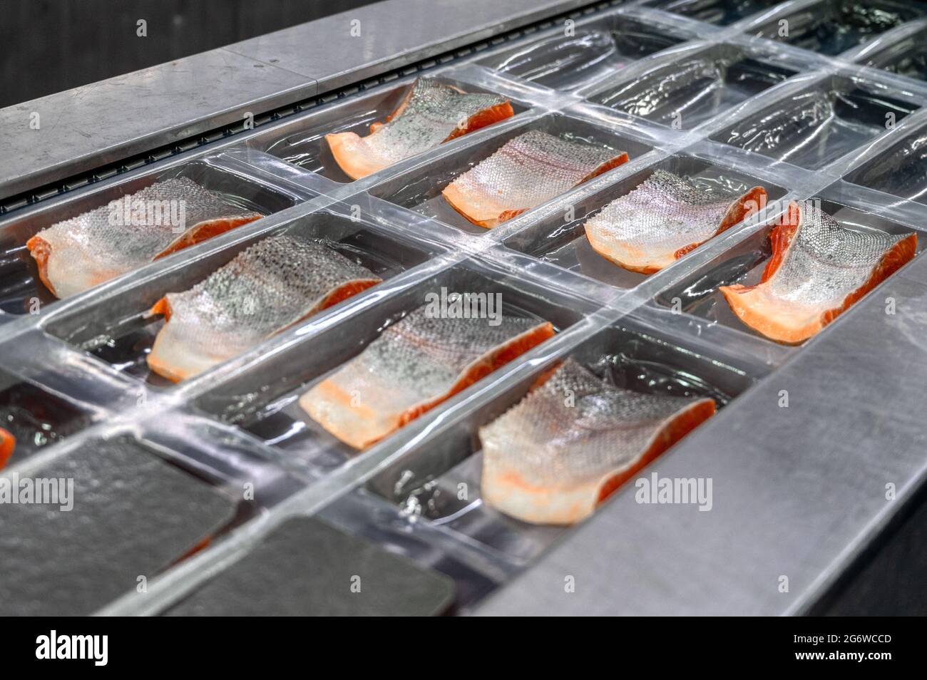Fish packing plant hi-res stock photography and images - Alamy