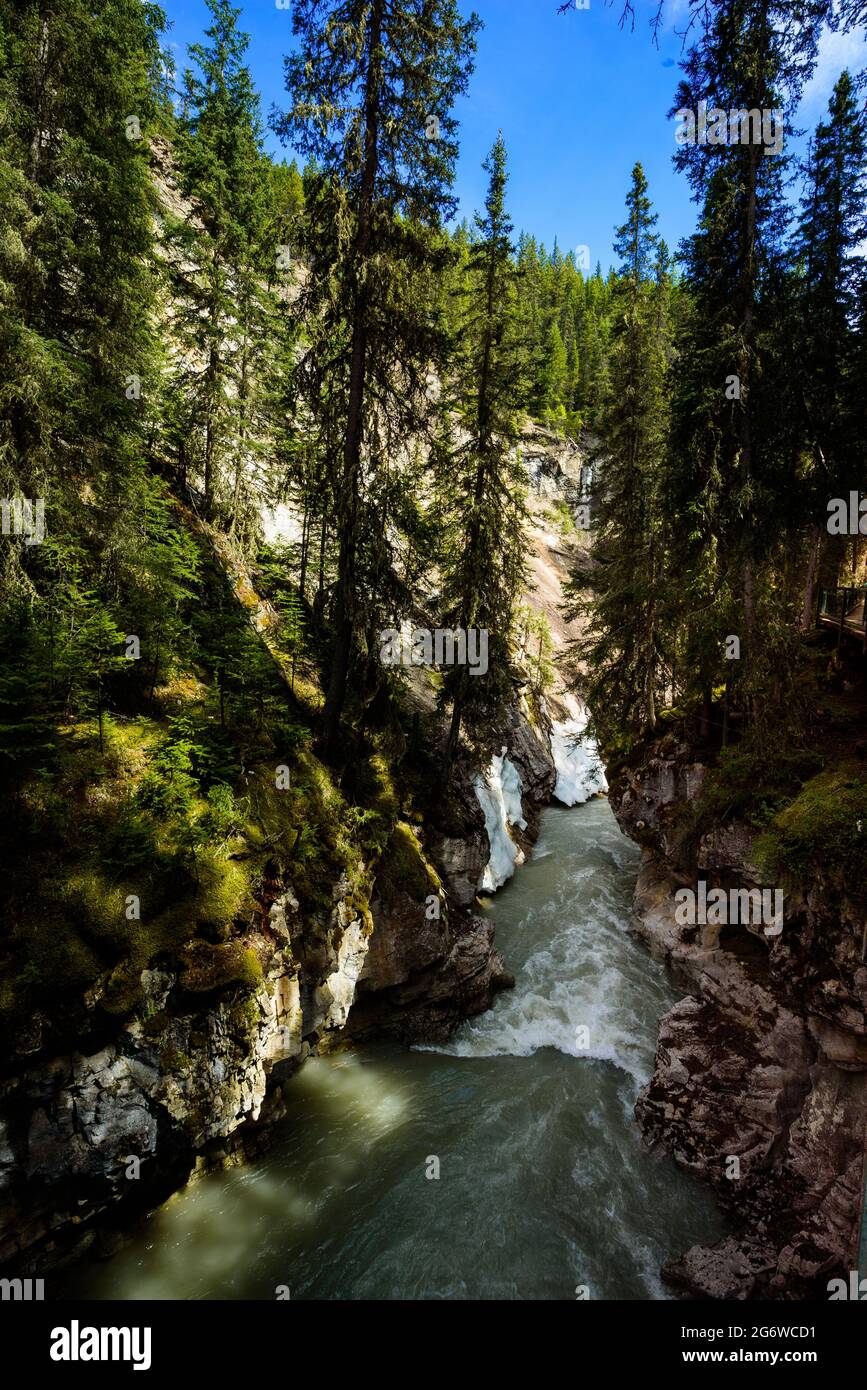 River in Johnston canyon in Banff national park Stock Photo - Alamy
