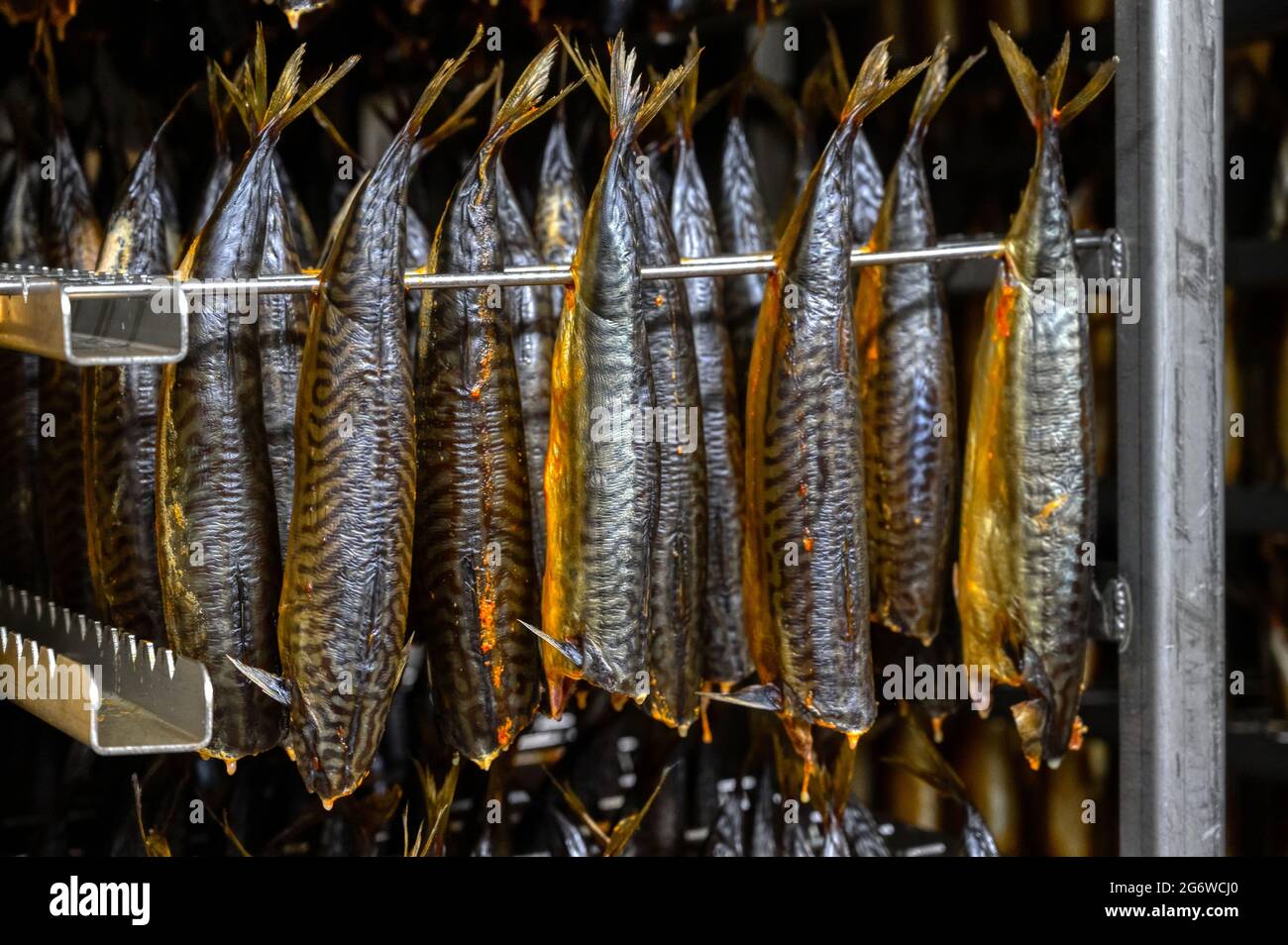 Fish smoking on plant hi-res stock photography and images - Alamy