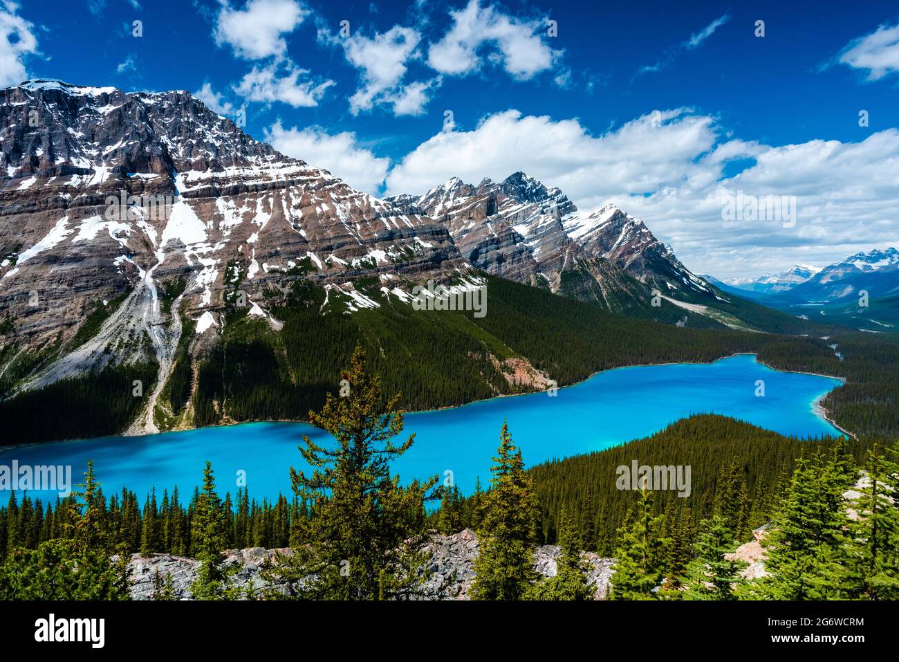 Bow overlook on Peyto lake in Banff national park Stock Photo - Alamy
