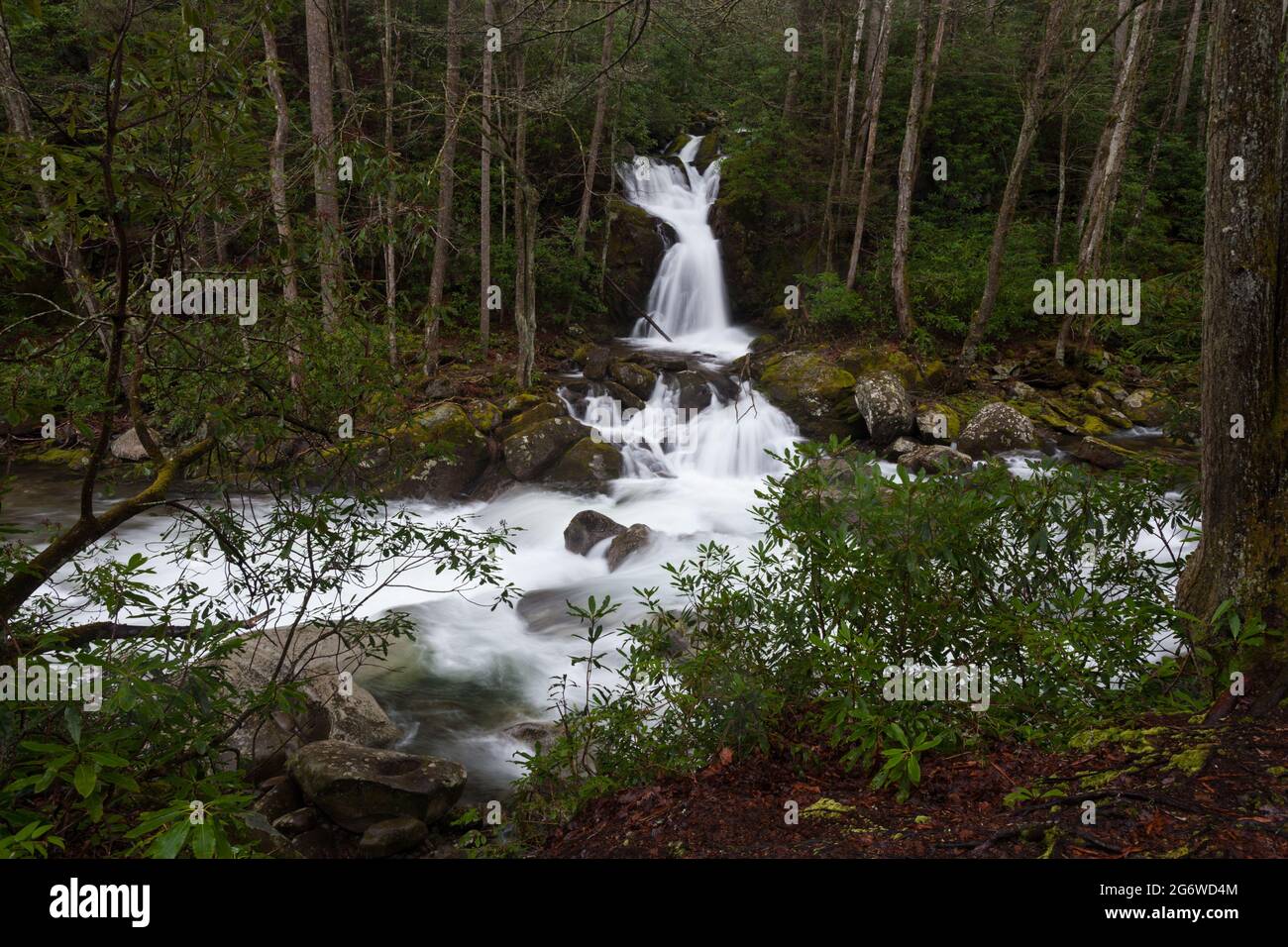 Mouse Creek Falls in the Great Smoky Mountains National Park Stock ...