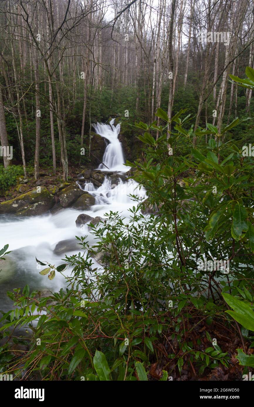 Mouse Creek Falls in the Great Smoky Mountains National Park Stock ...