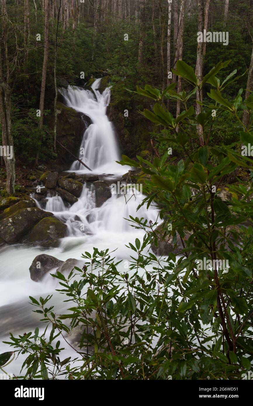Mouse Creek Falls in the Great Smoky Mountains National Park Stock ...
