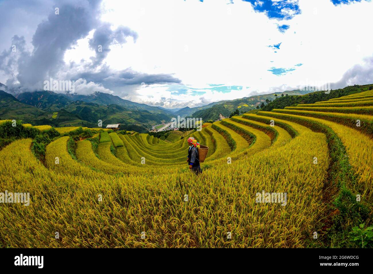 Mu cang chai sightseeing hi-res stock photography and images - Alamy
