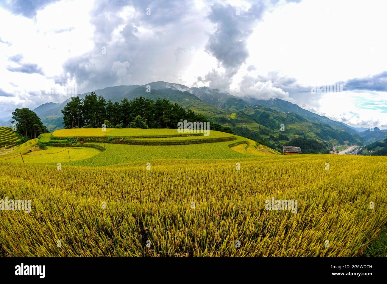 Mu cang chai sightseeing hi-res stock photography and images - Alamy