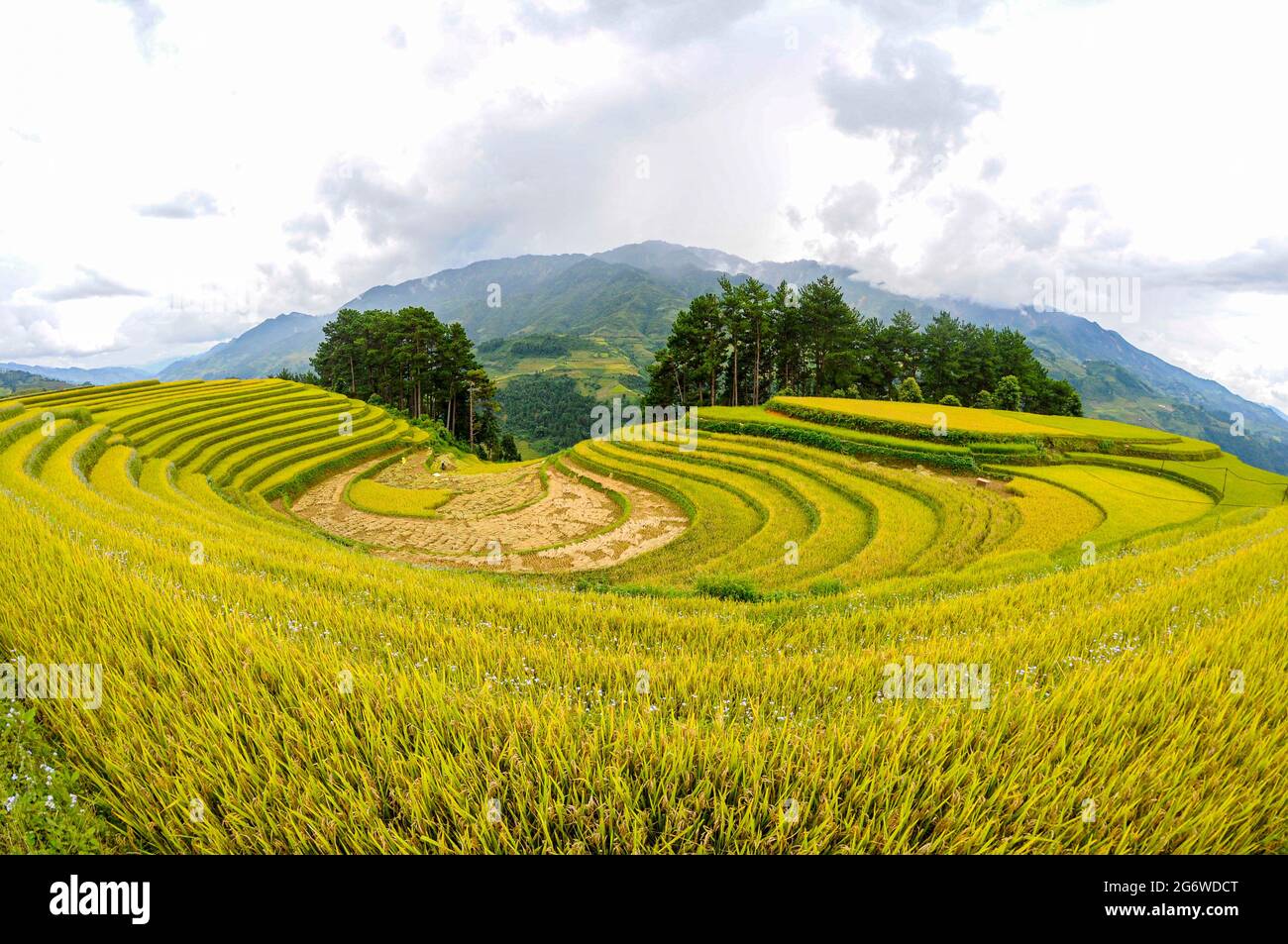 Mu cang chai sightseeing hi-res stock photography and images - Alamy