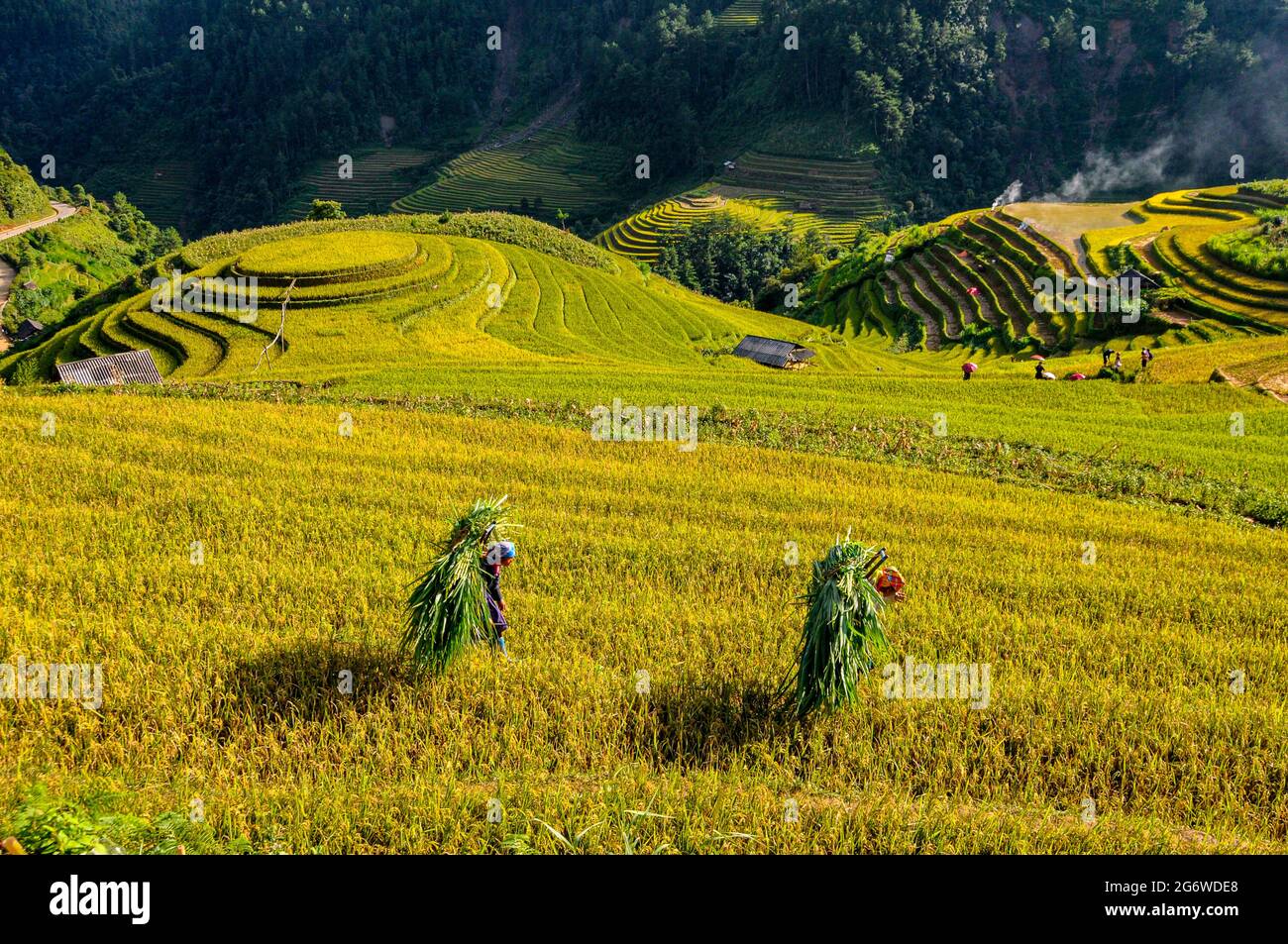 Mu cang chai sightseeing hi-res stock photography and images - Alamy