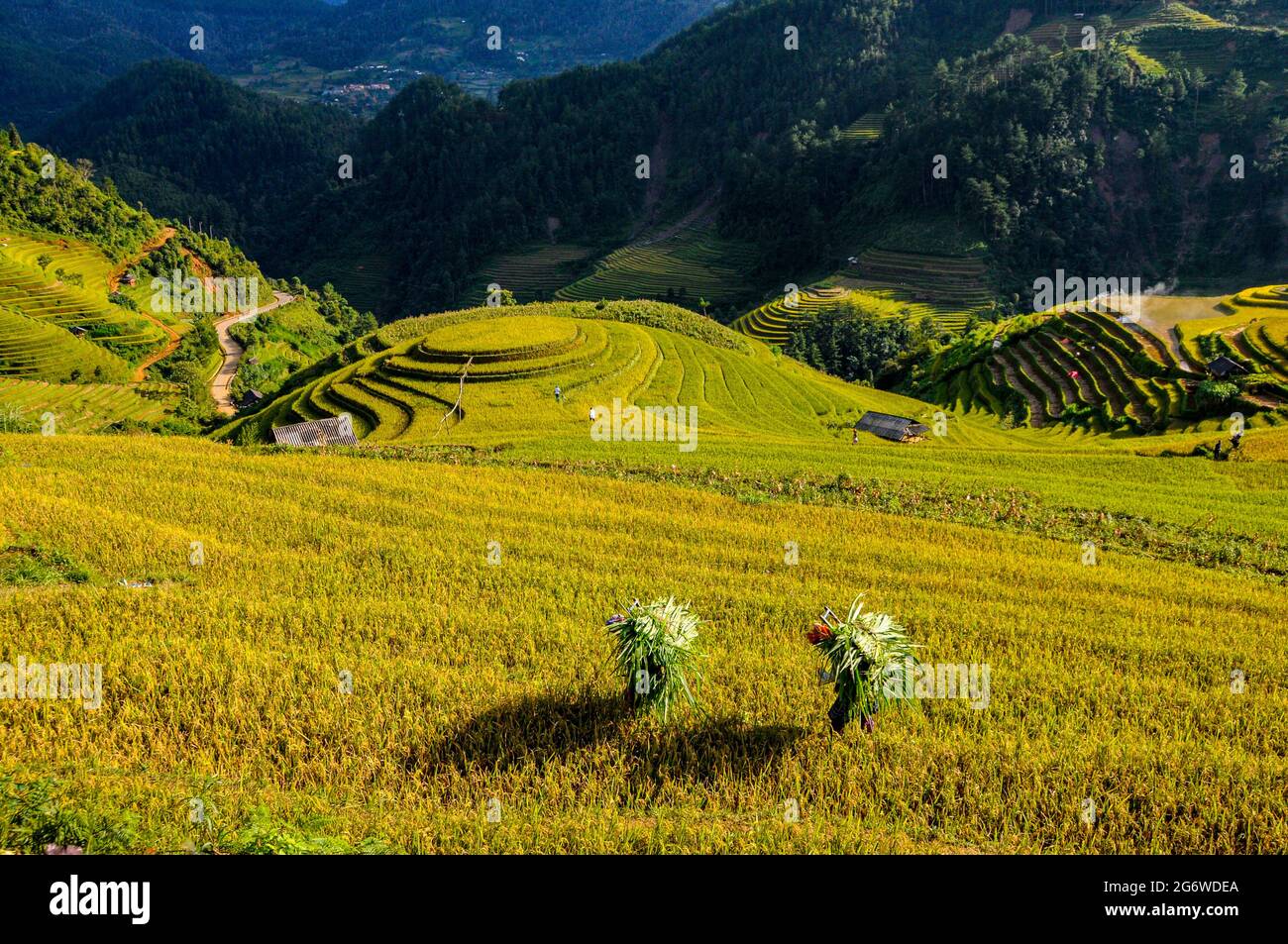 Mu cang chai sightseeing hi-res stock photography and images - Alamy