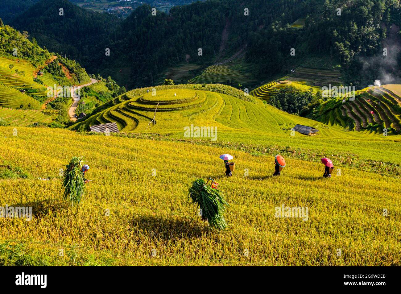 Mu cang chai sightseeing hi-res stock photography and images - Alamy
