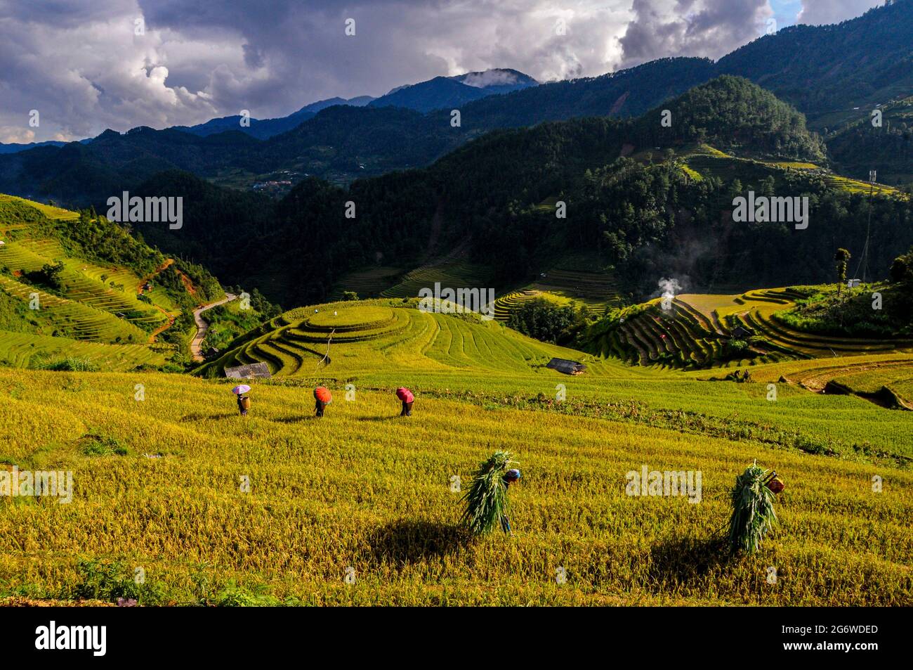 Mu cang chai sightseeing hi-res stock photography and images - Alamy