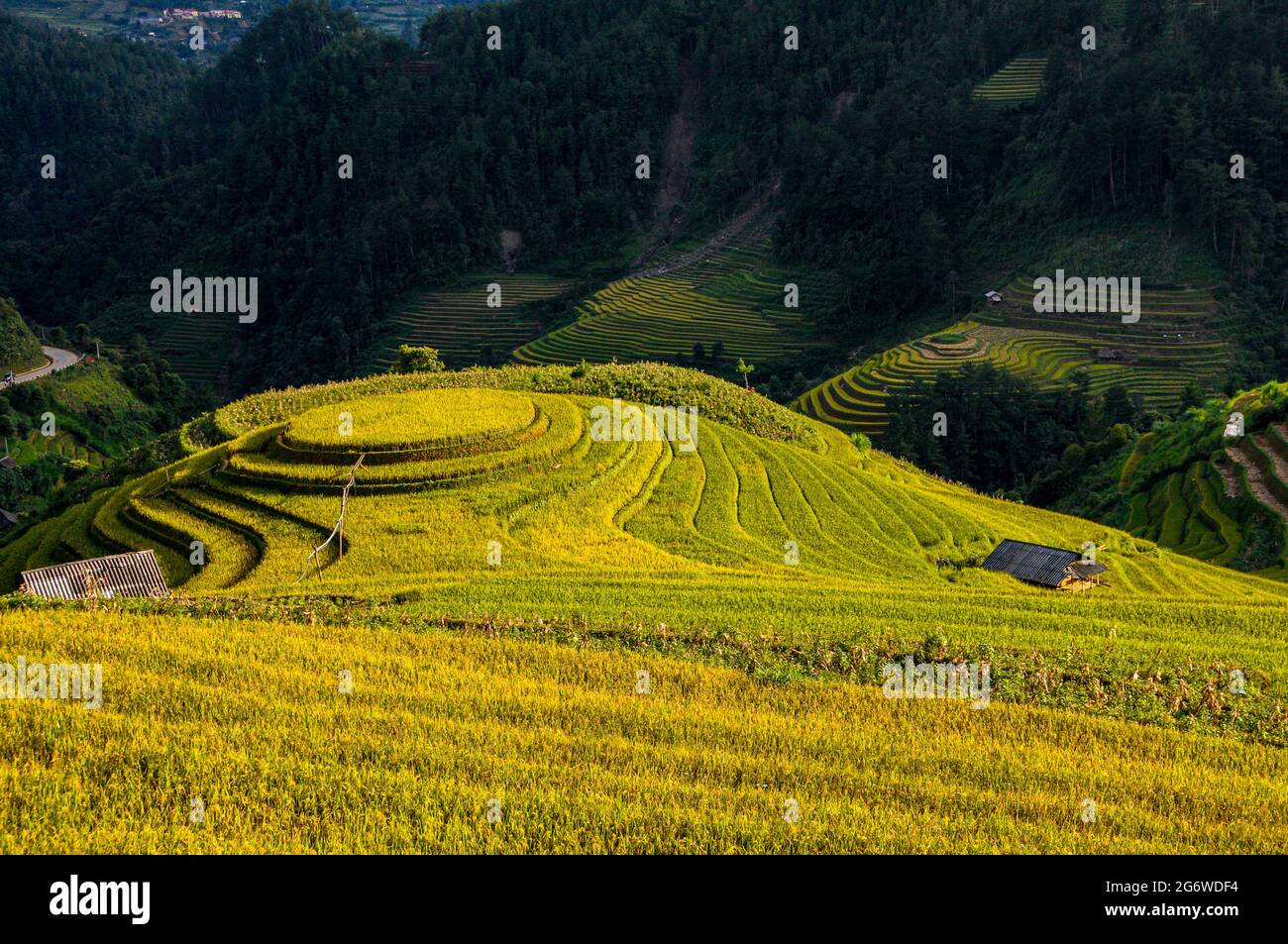 Mu cang chai sightseeing hi-res stock photography and images - Alamy