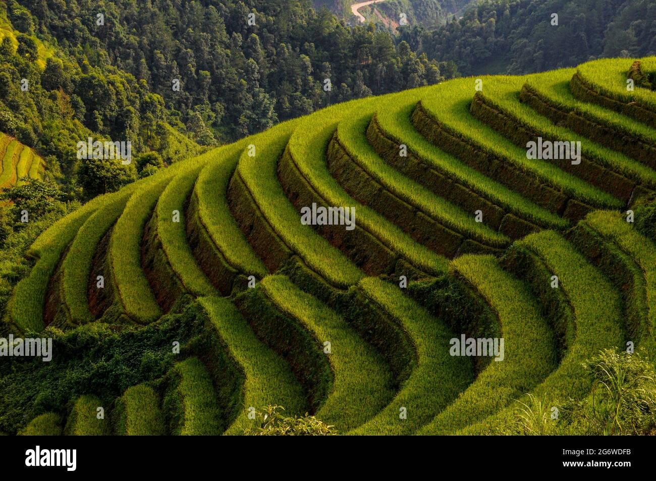 Mu cang chai sightseeing hi-res stock photography and images - Alamy