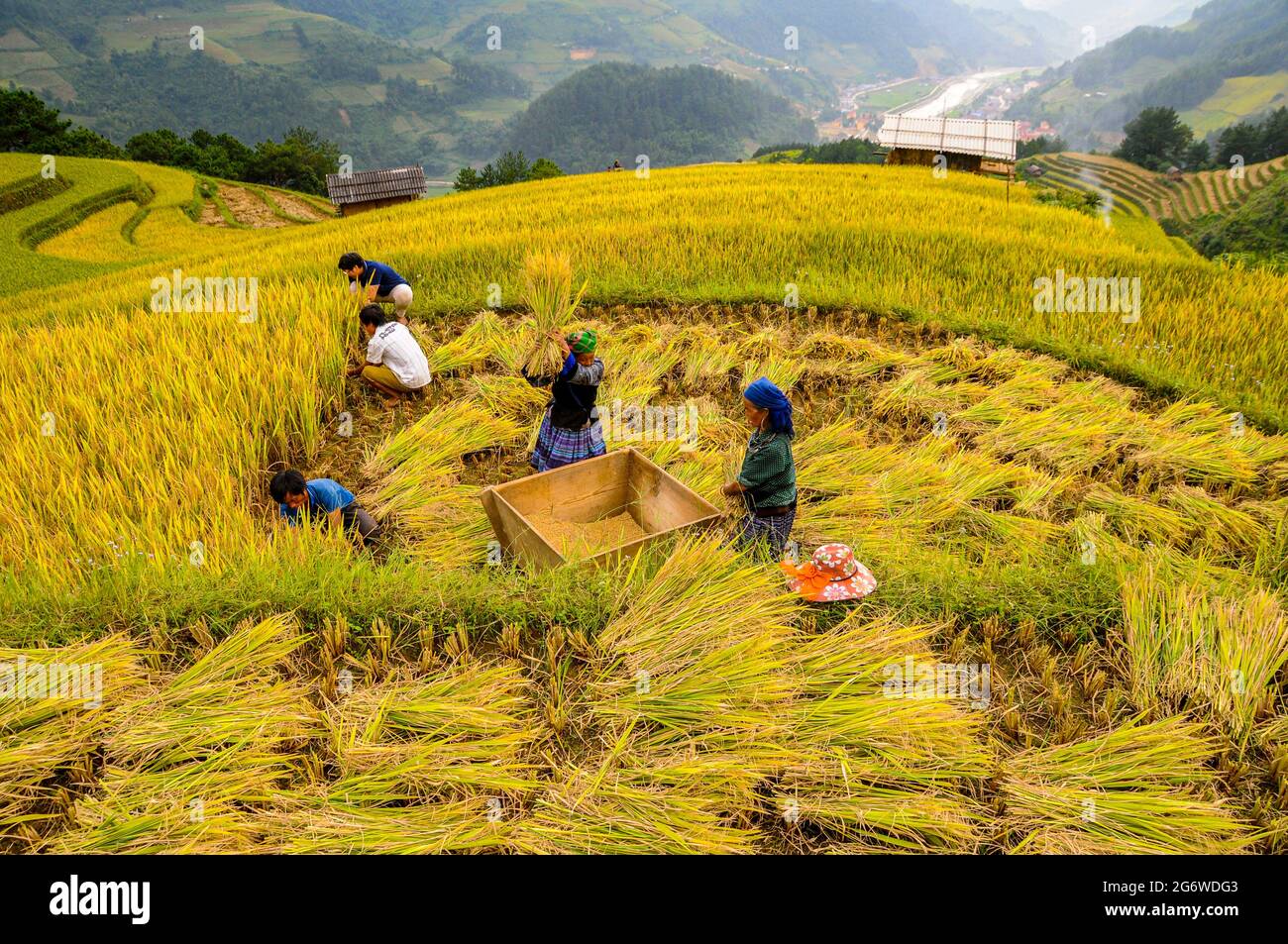 Mu cang chai sightseeing hi-res stock photography and images - Alamy