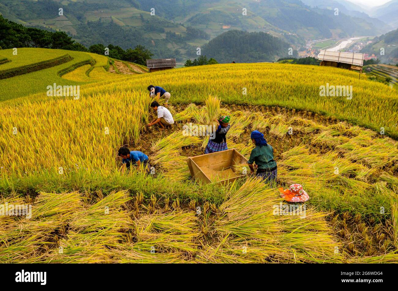 Mu cang chai sightseeing hi-res stock photography and images - Alamy