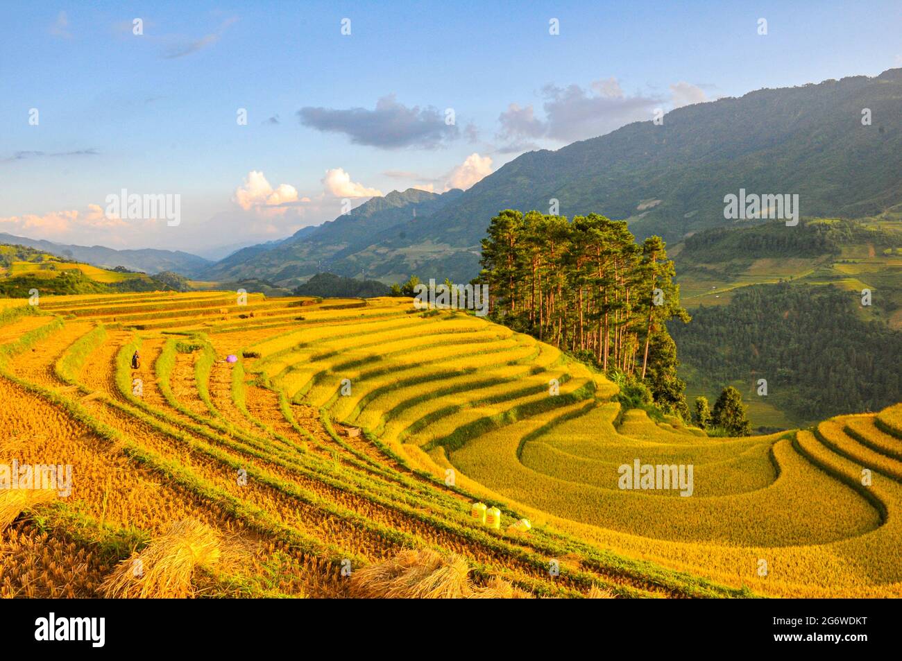 Mu cang chai sightseeing hi-res stock photography and images - Alamy