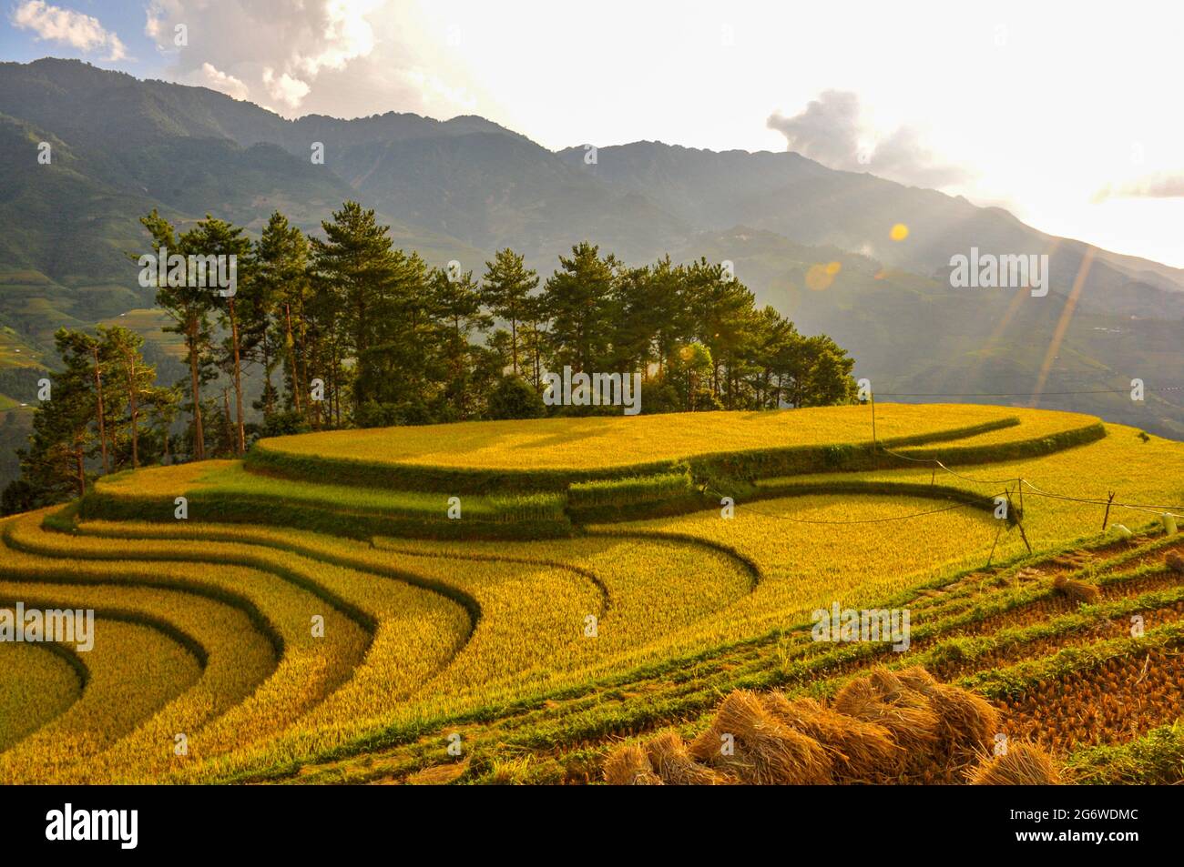 Mu cang chai sightseeing hi-res stock photography and images - Alamy