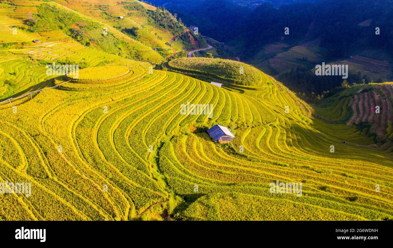 Nice rice terrace in Mu Chang Chai nothern Vietnam Stock Photo - Alamy