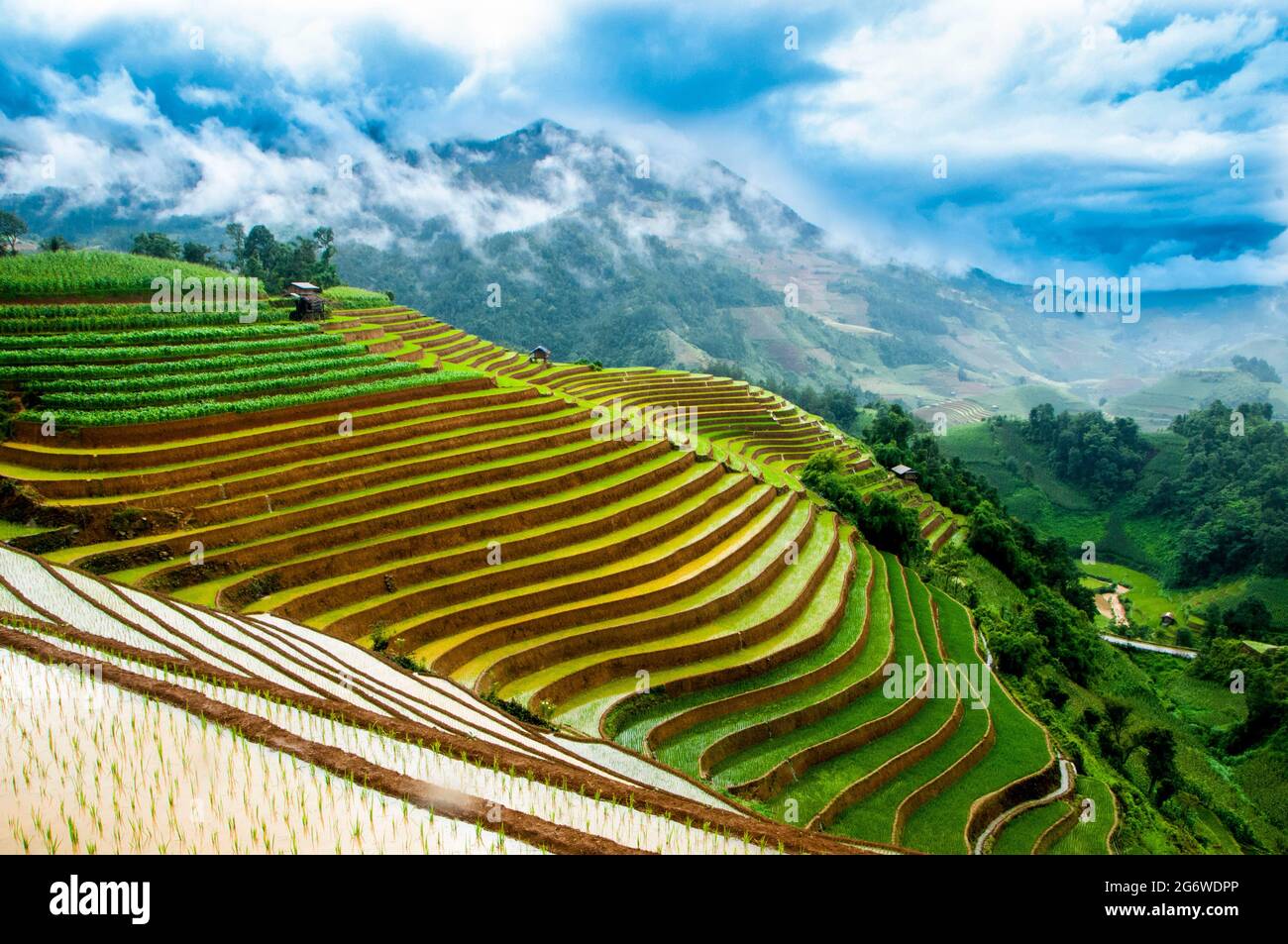 Mu cang chai tourist place hi-res stock photography and images - Alamy