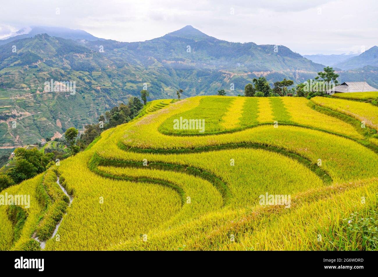 Mu cang chai sightseeing hi-res stock photography and images - Alamy