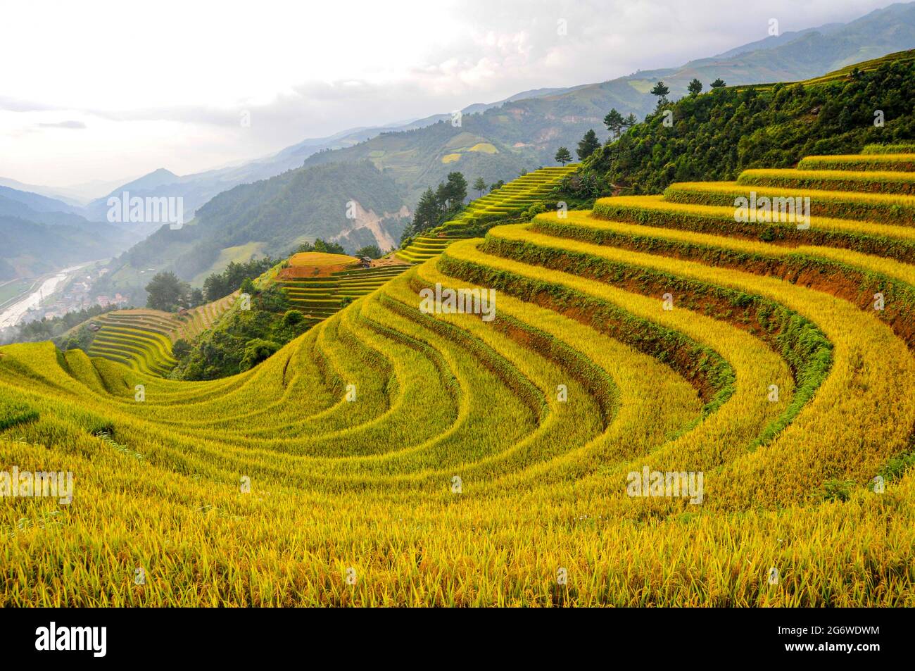 Mu cang chai tourist destination hi-res stock photography and images ...