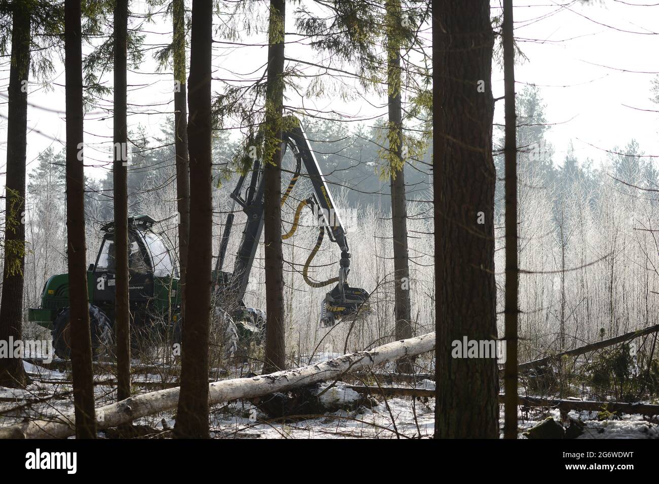 Belarus - 02.02.2015 - Machines for logging, timber production, men's ...