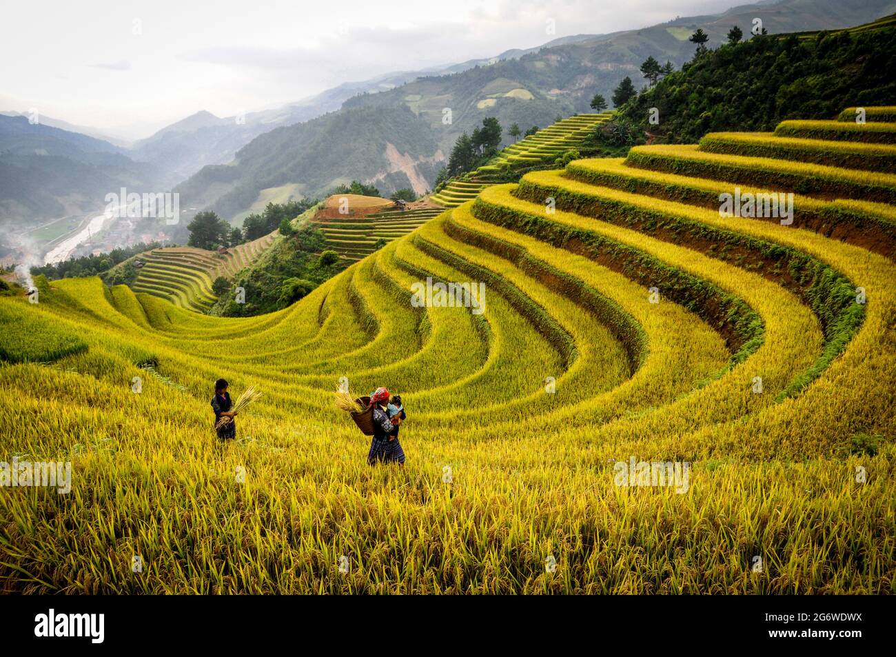 Mu cang chai tourist destination hi-res stock photography and images ...