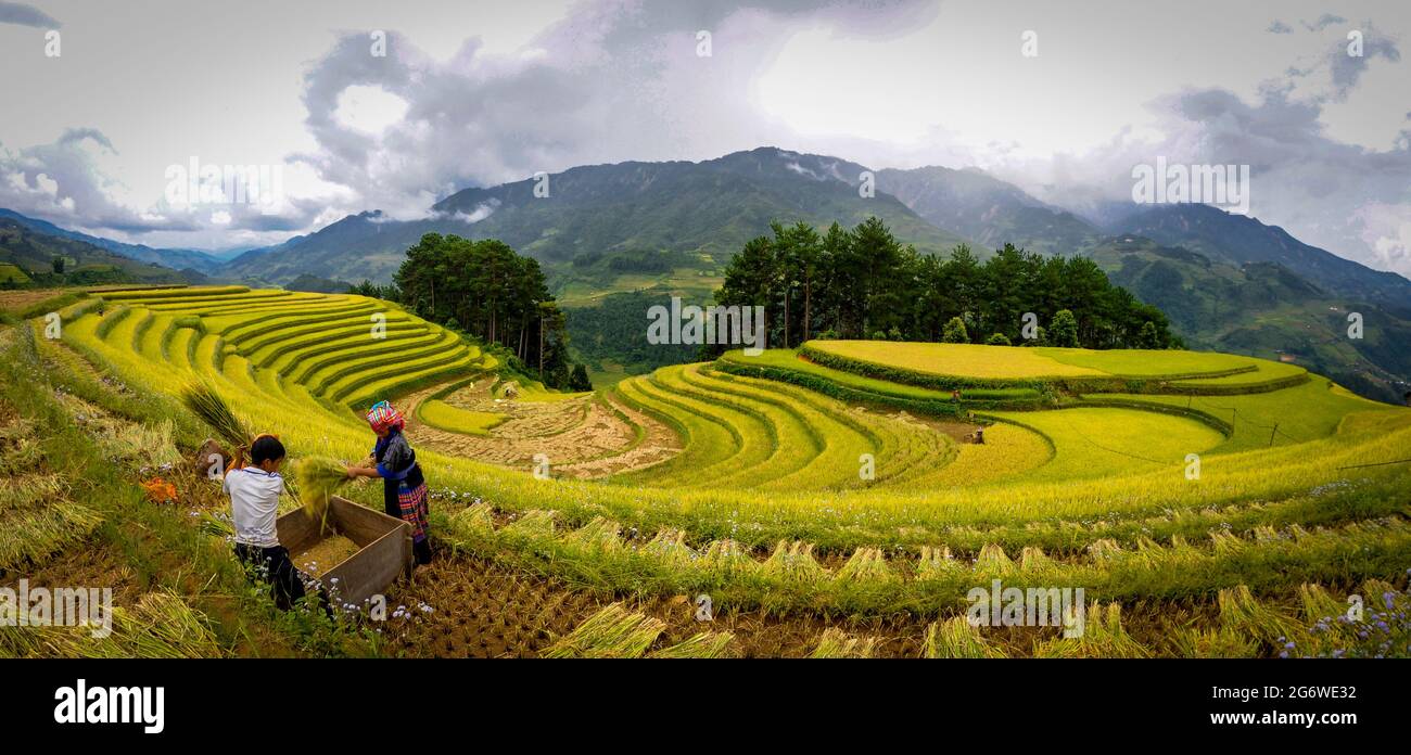 Mu cang chai sightseeing hi-res stock photography and images - Alamy