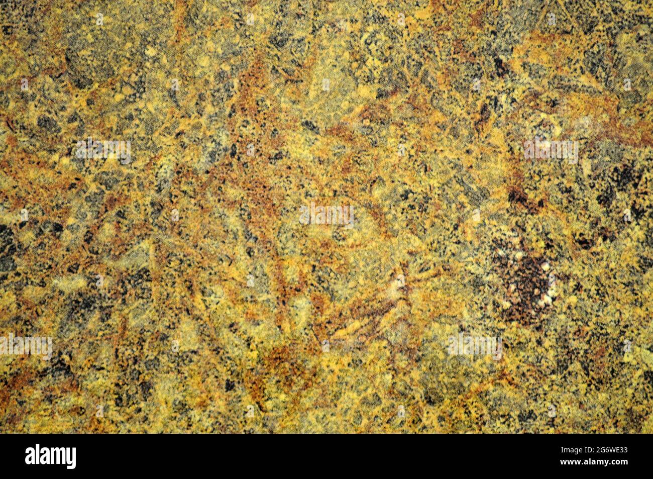 Golden granite, polished surface of natural stone with small black ...