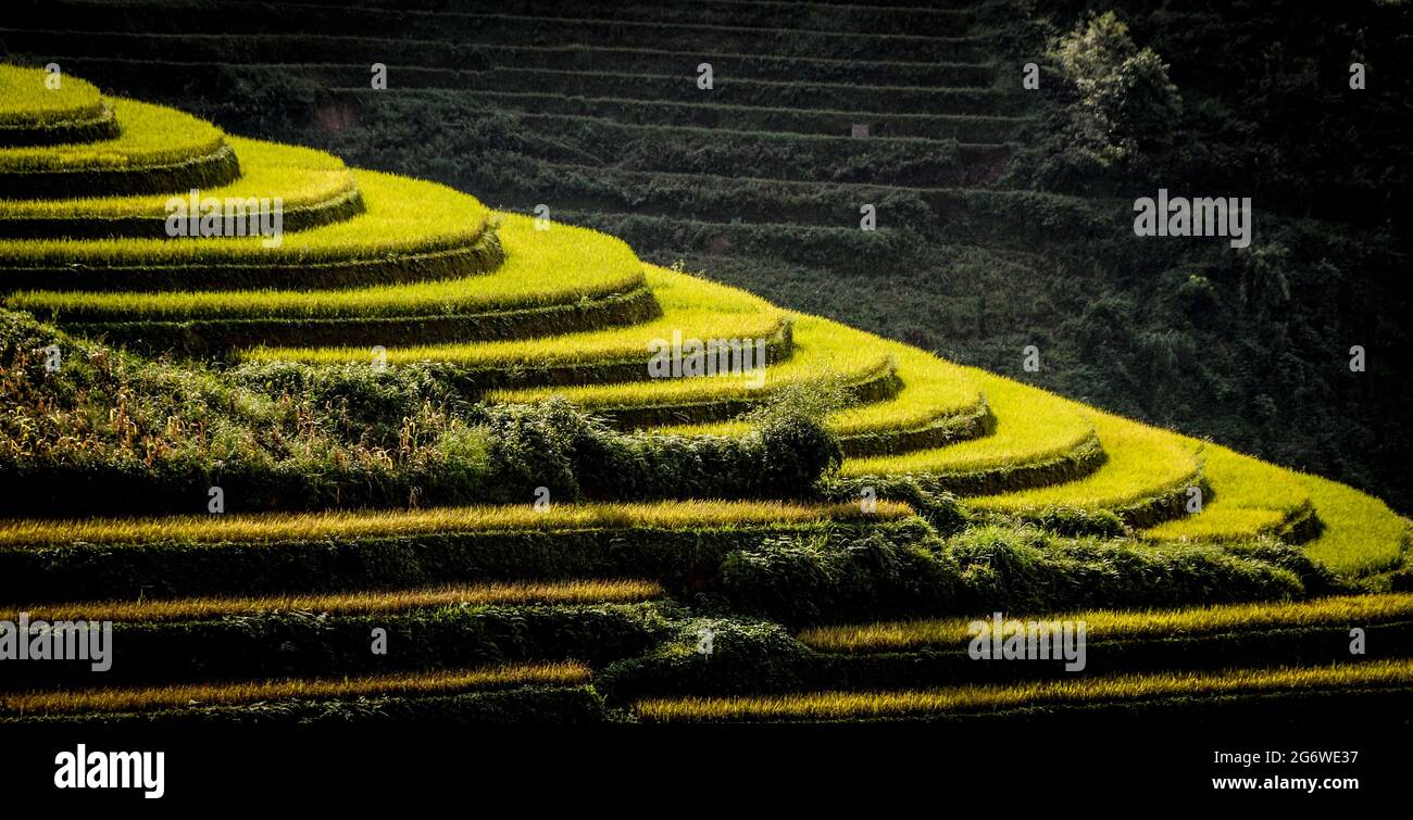 Mu cang chai sightseeing hi-res stock photography and images - Alamy