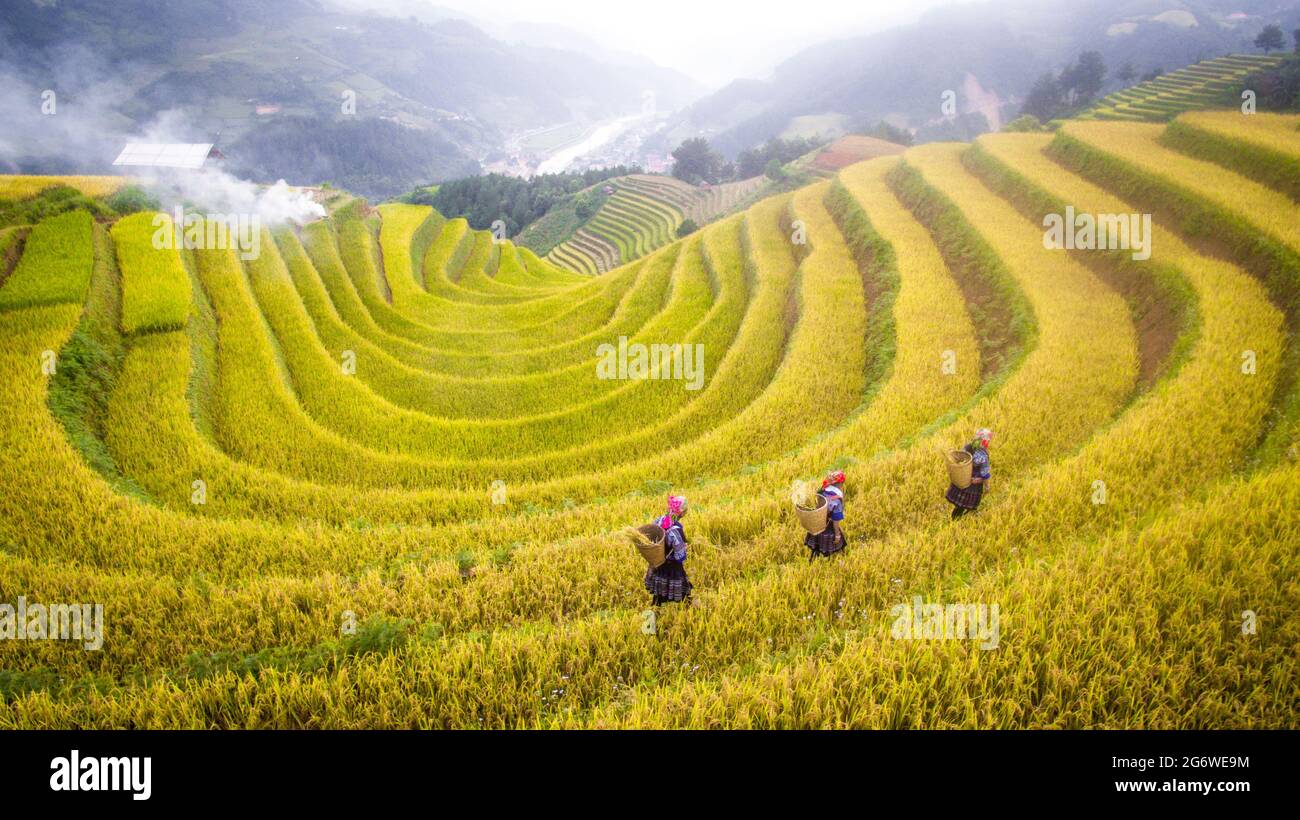 Mu chang chai hi-res stock photography and images - Alamy