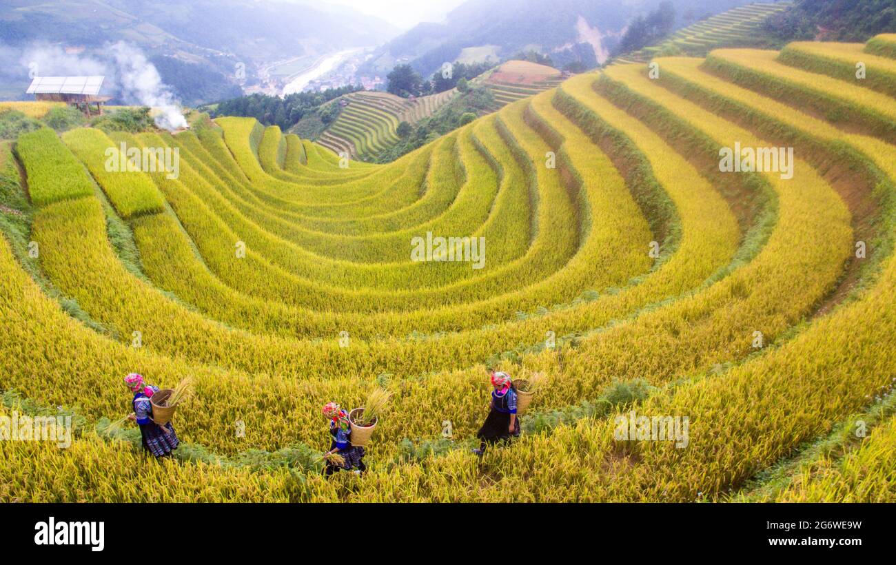 Mu cang chai tourist place hi-res stock photography and images - Alamy